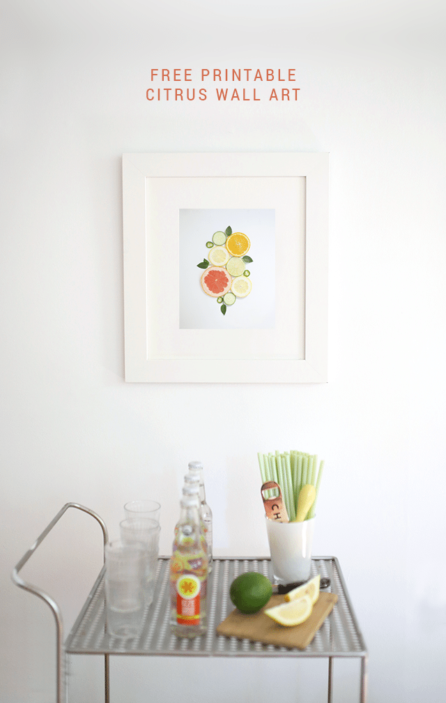 Free Printable Citrus Wall Art to Make Your Home Sparkle Brightly ...