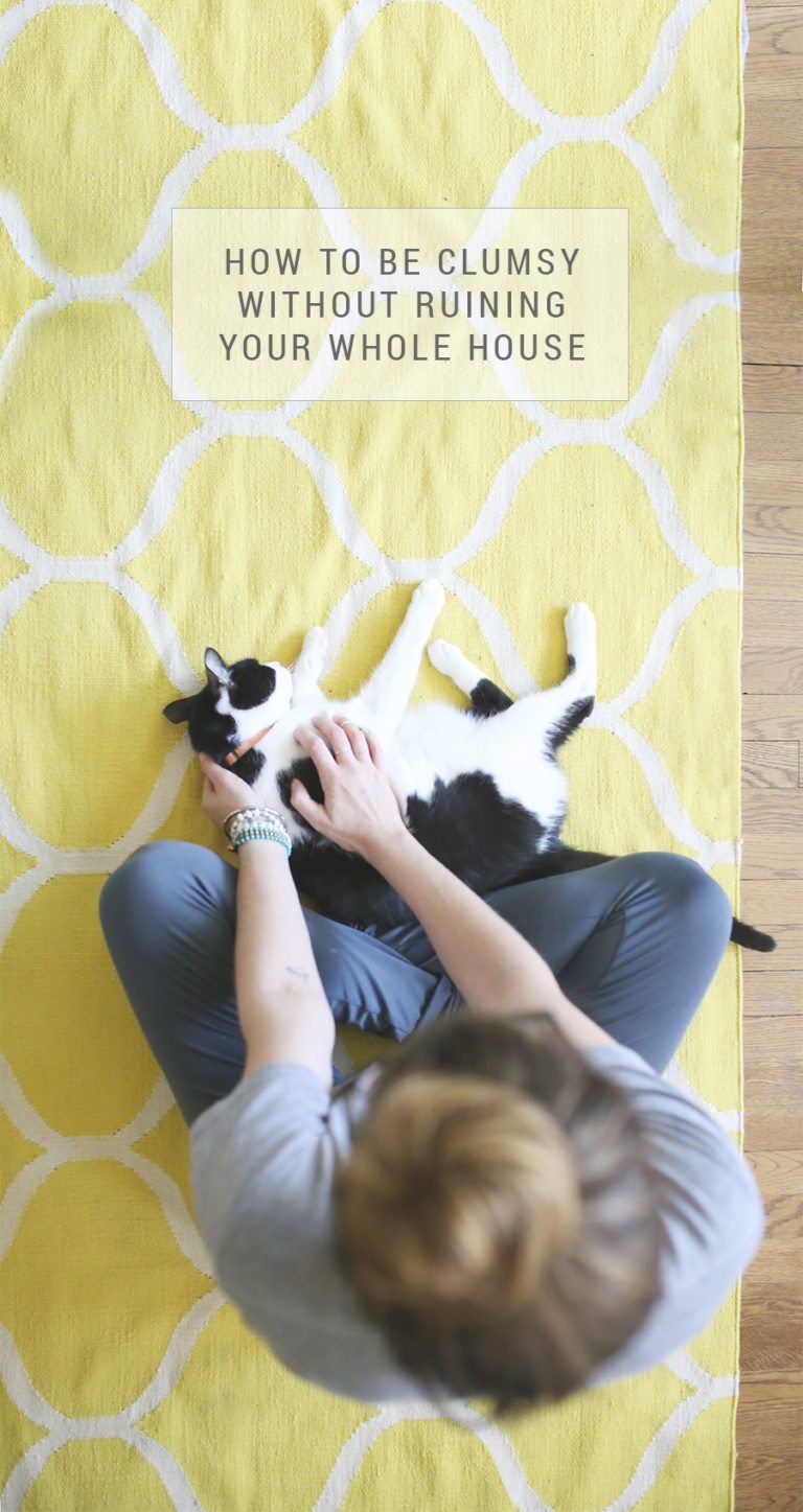 How to Be Clumsy Without Ruining Your Whole House - Shrimp Salad Circus