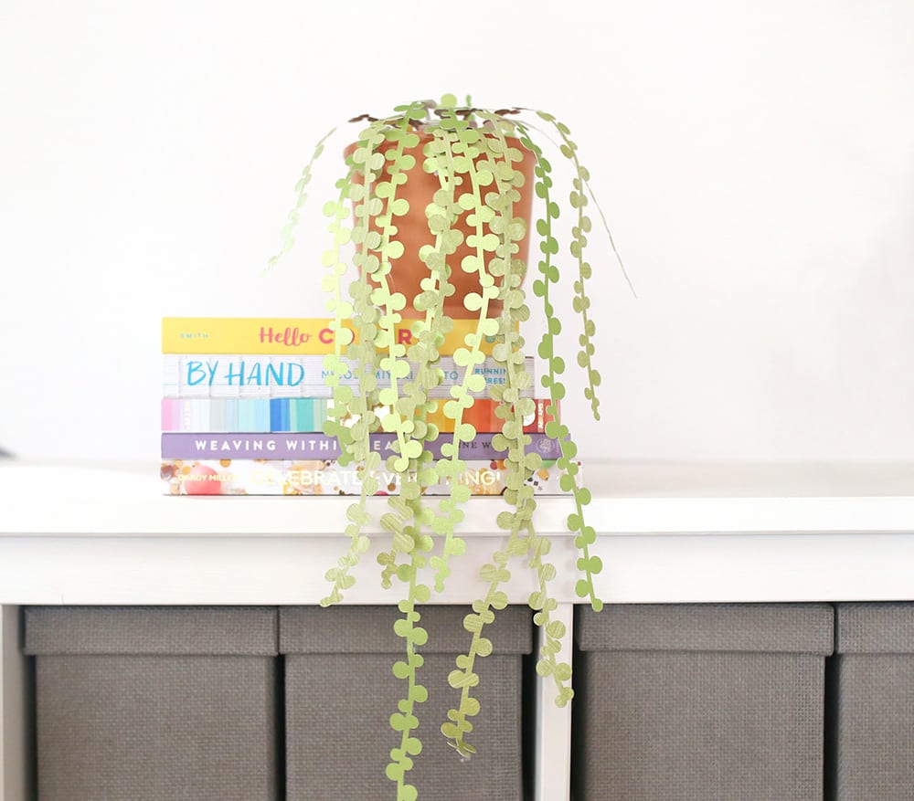 How to Make Paper Succulents With Free Template - Shrimp Salad Circus